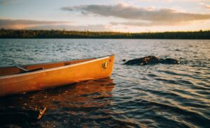 12 Best Motivational Canoe Quotes - Motivirus